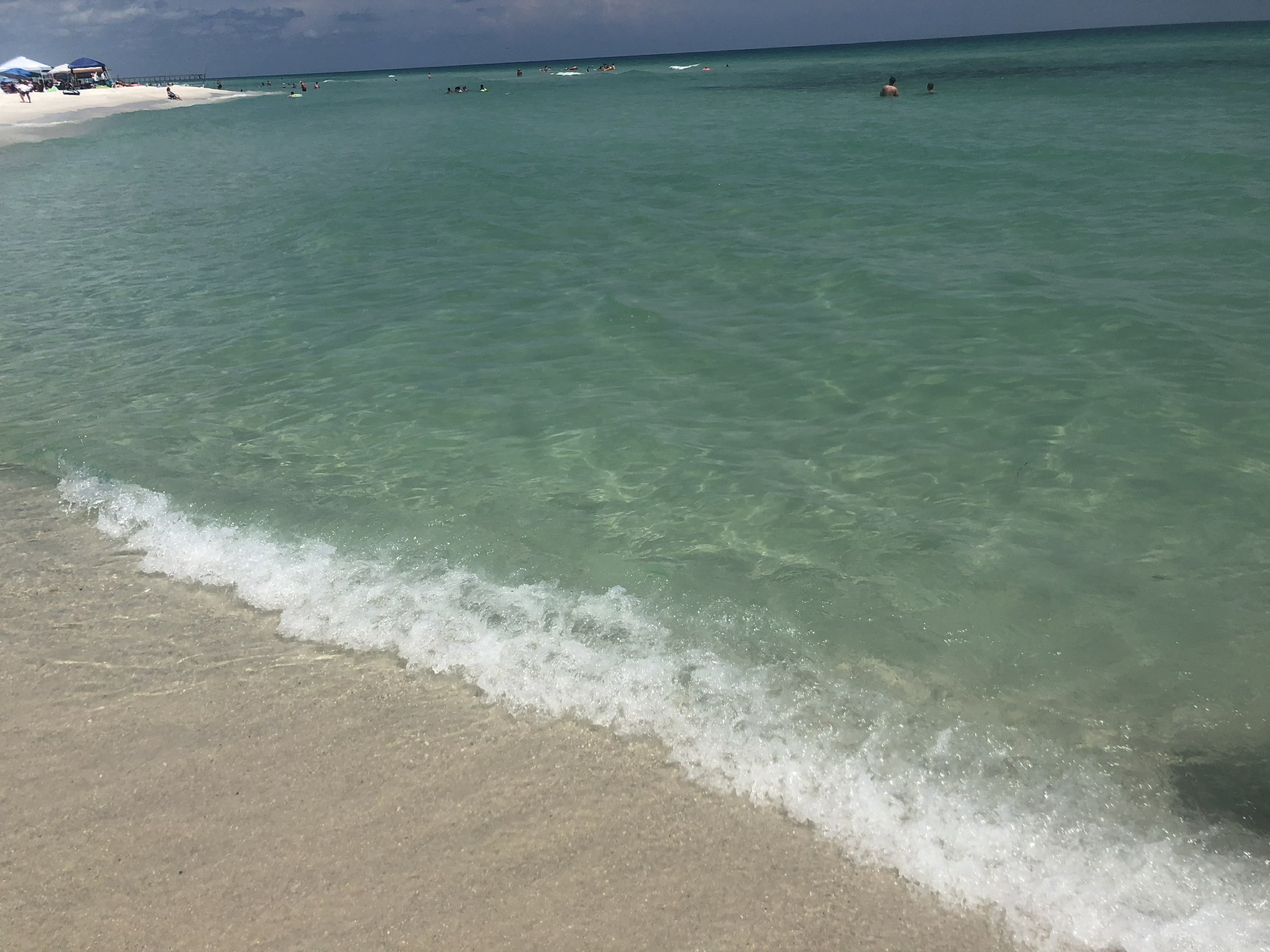 The June Grass Report | Crowdsourced June Grass and Beach Updates from ...
