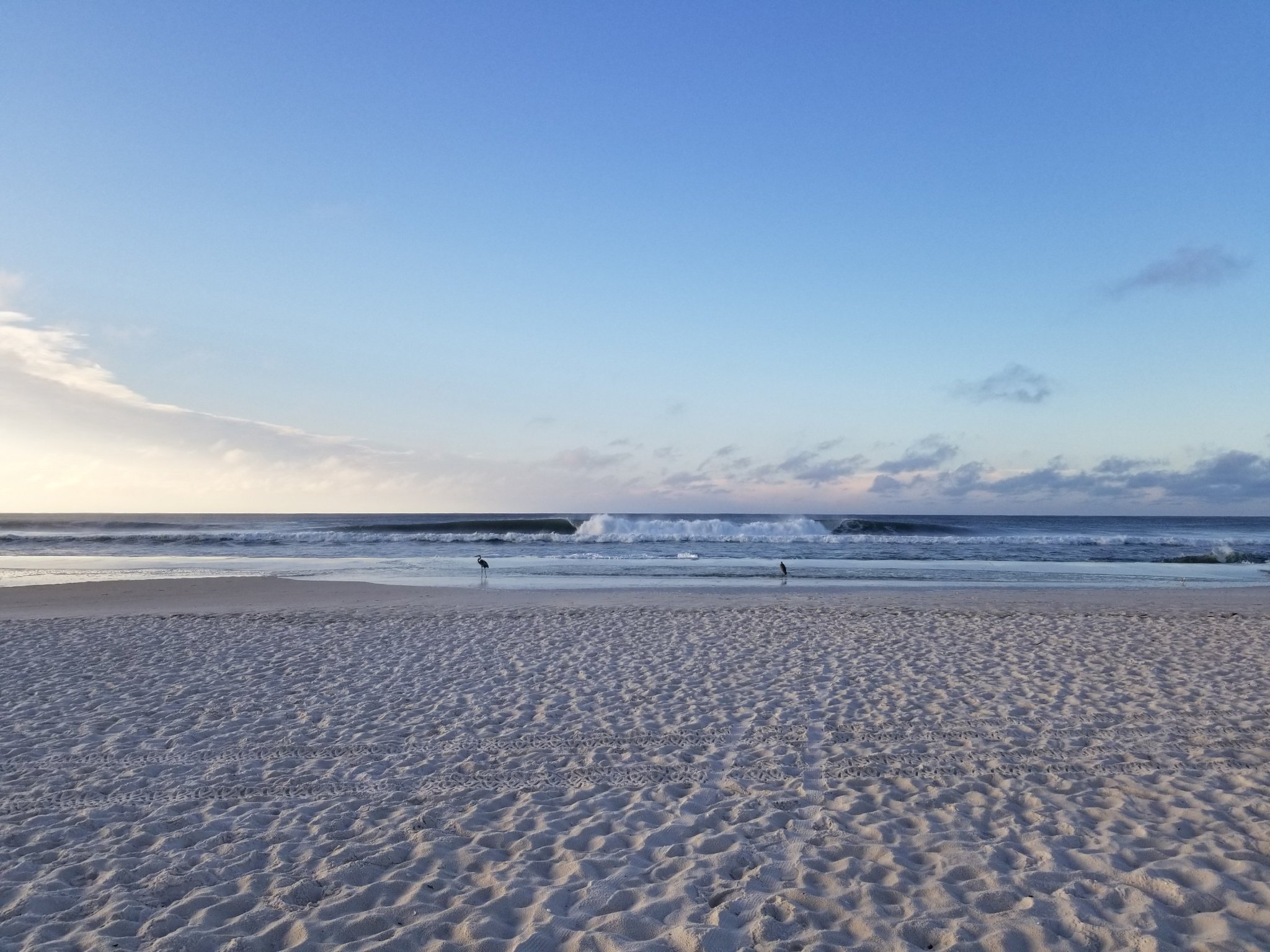The June Grass Report | Crowdsourced June Grass and Beach Updates from ...