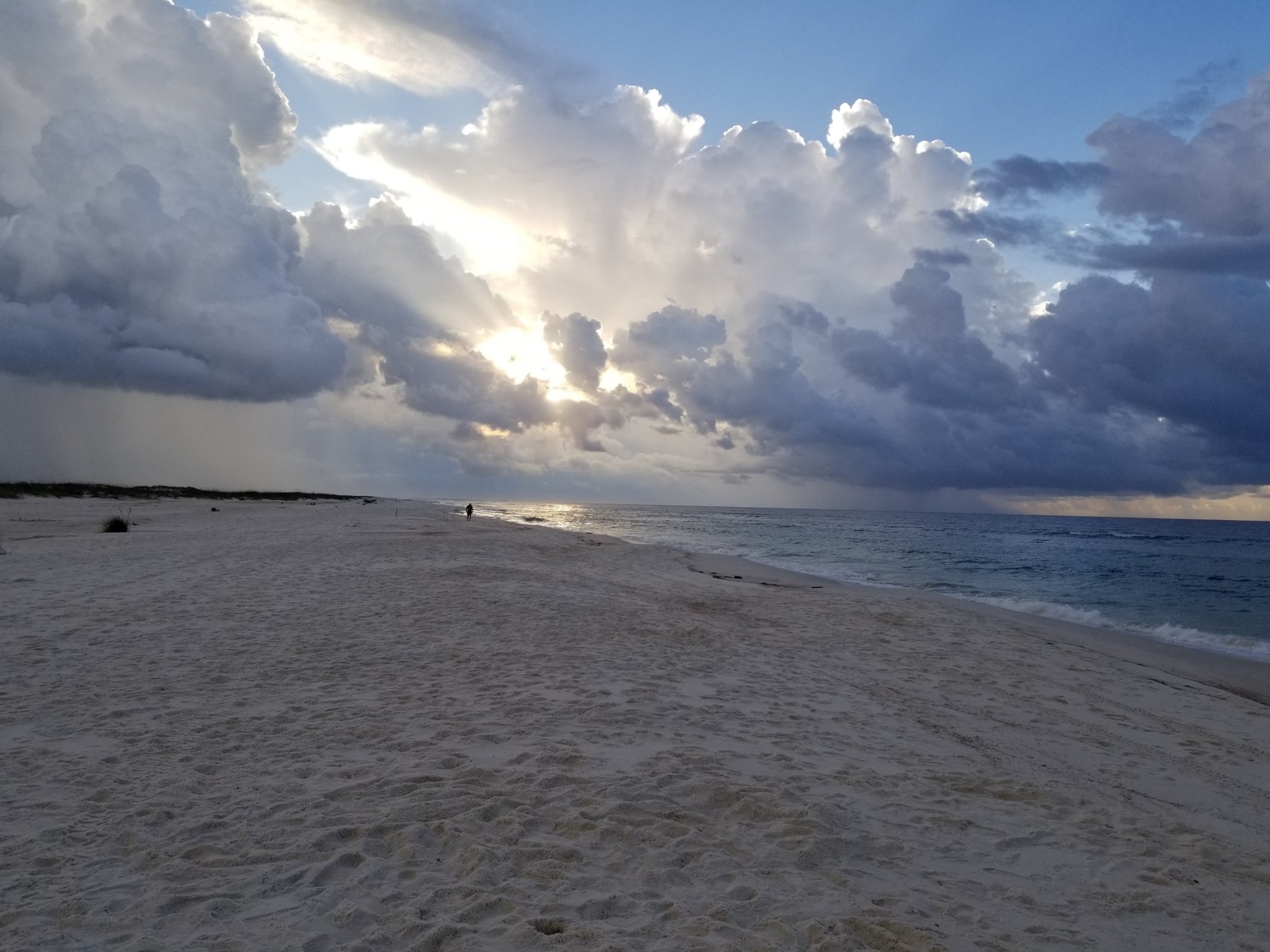 The June Grass Report | Crowdsourced June Grass and Beach Updates from ...