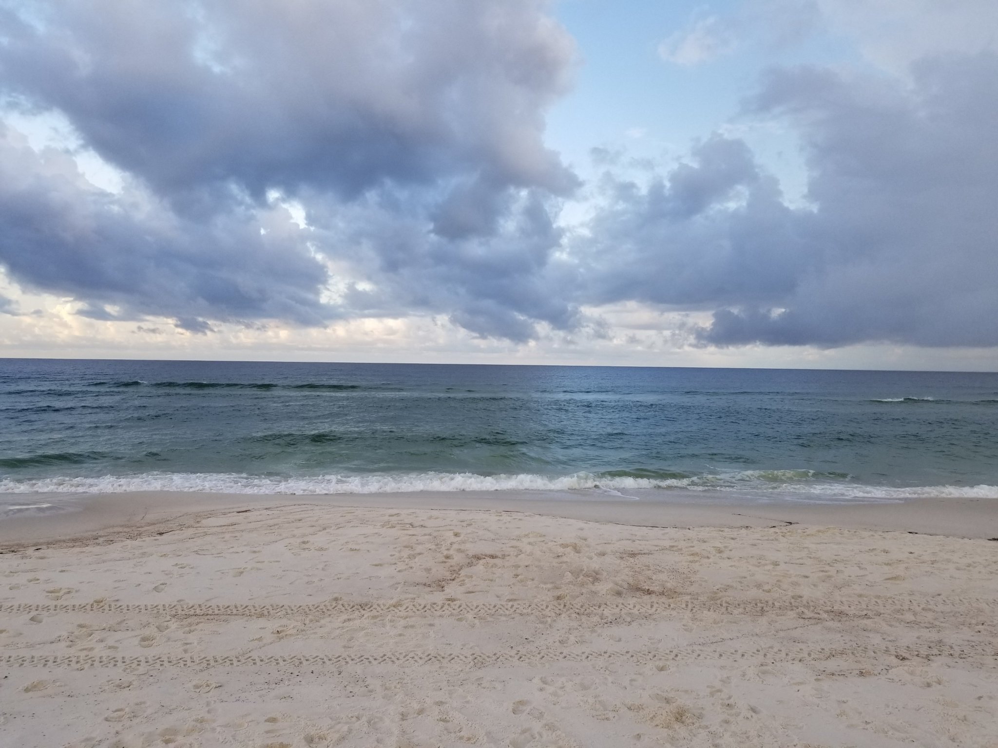 The June Grass Report | Crowdsourced June Grass and Beach Updates from ...