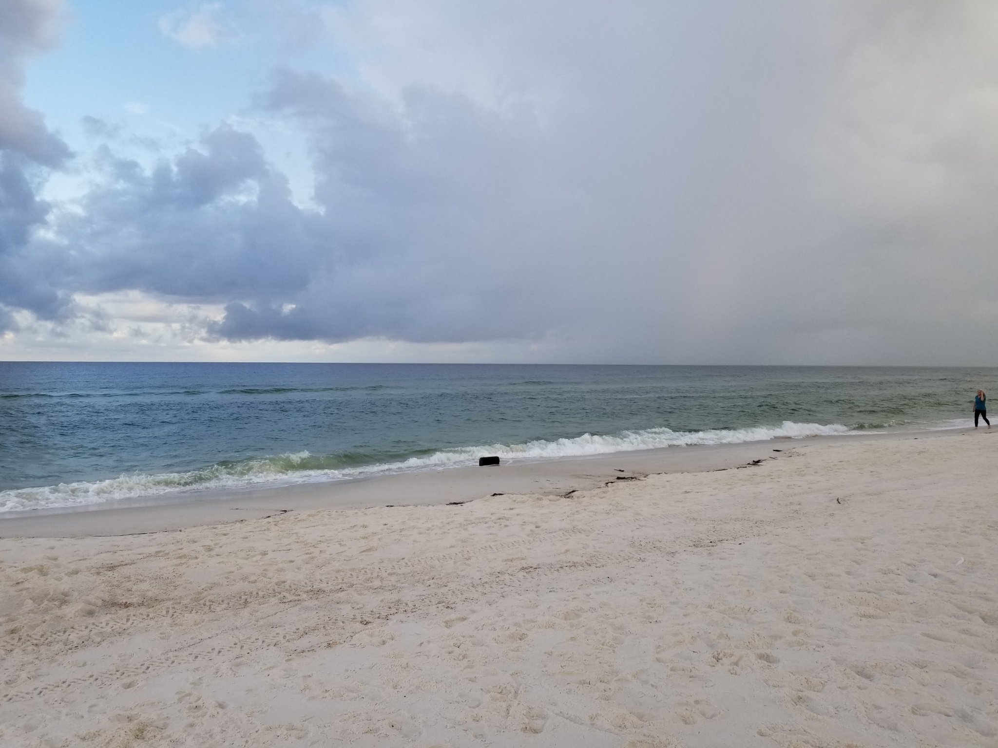The June Grass Report | Crowdsourced June Grass and Beach Updates from ...