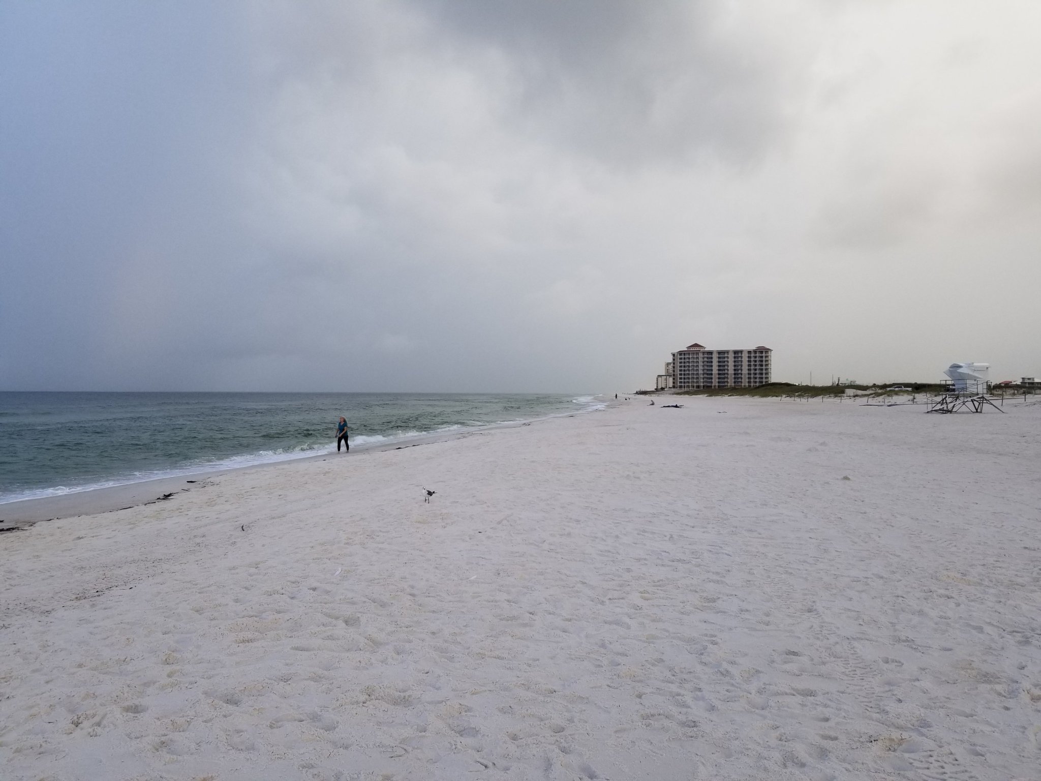 The June Grass Report | Crowdsourced June Grass and Beach Updates from ...