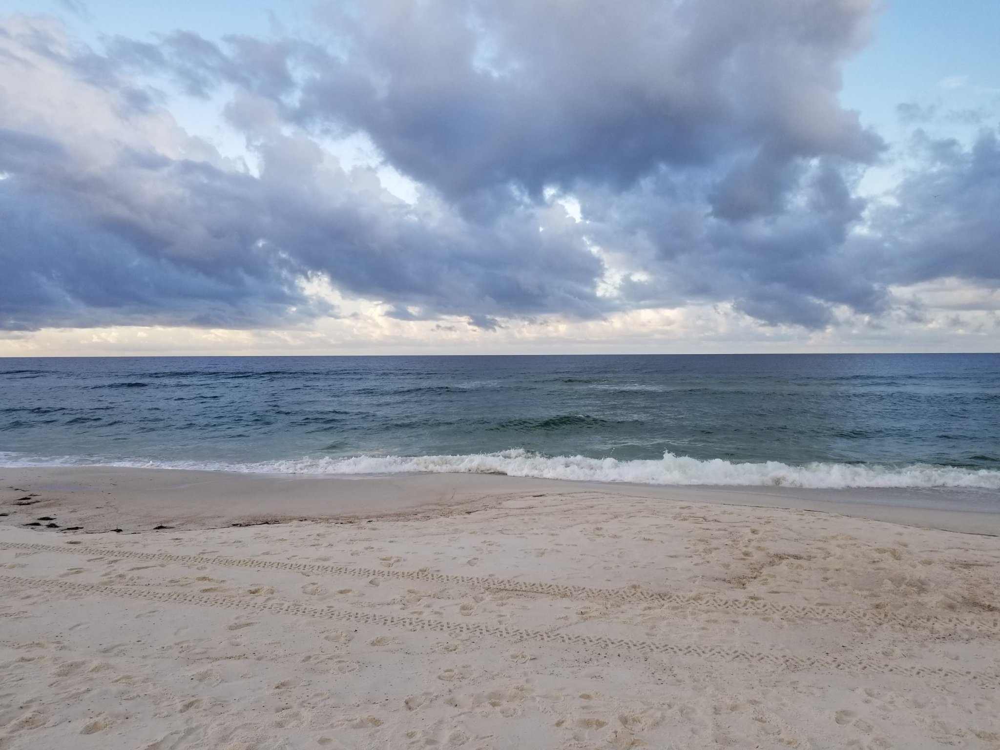 The June Grass Report | Crowdsourced June Grass and Beach Updates from ...