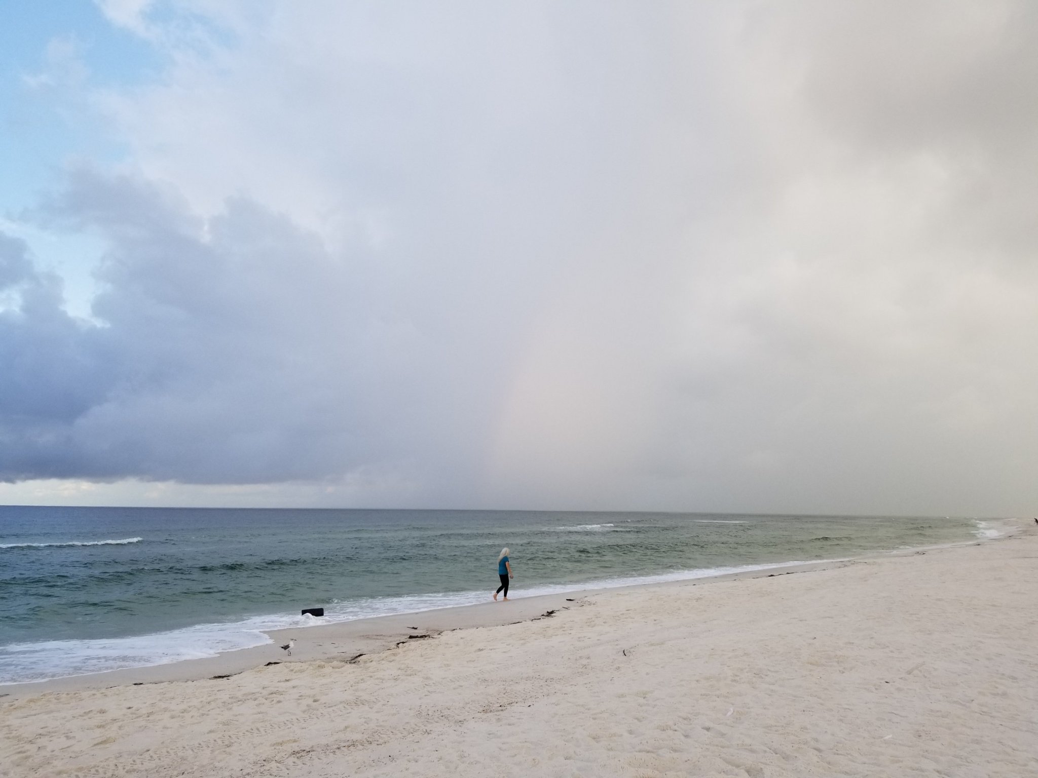 The June Grass Report | Crowdsourced June Grass and Beach Updates from ...