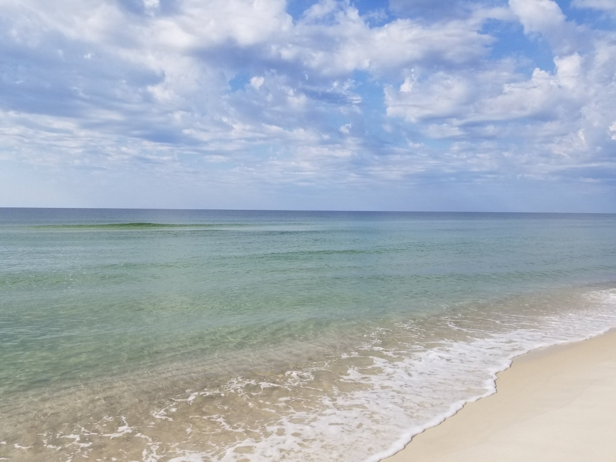 The June Grass Report | Crowdsourced June Grass and Beach Updates from ...