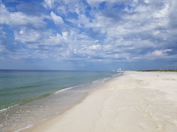 The June Grass Report | Crowdsourced June Grass and Beach Updates from ...