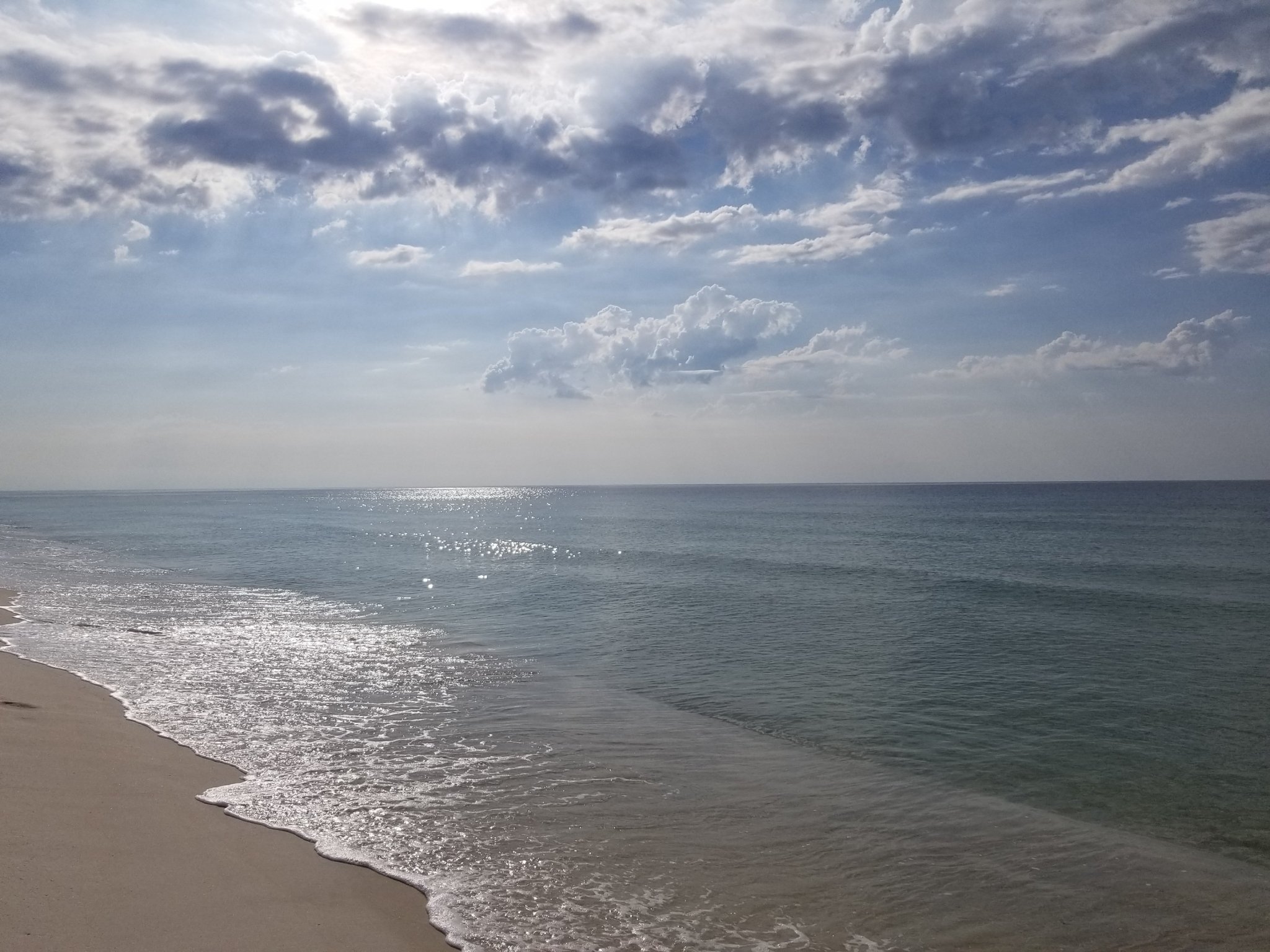 The June Grass Report | Crowdsourced June Grass and Beach Updates from ...