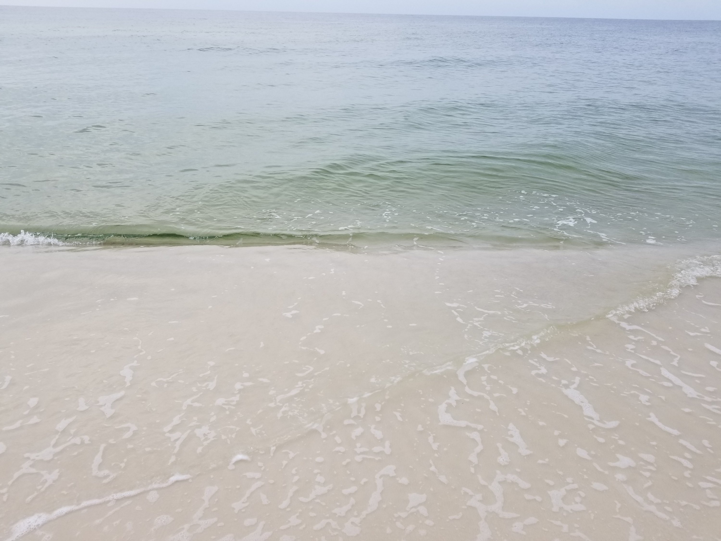 The June Grass Report | Crowdsourced June Grass and Beach Updates from ...