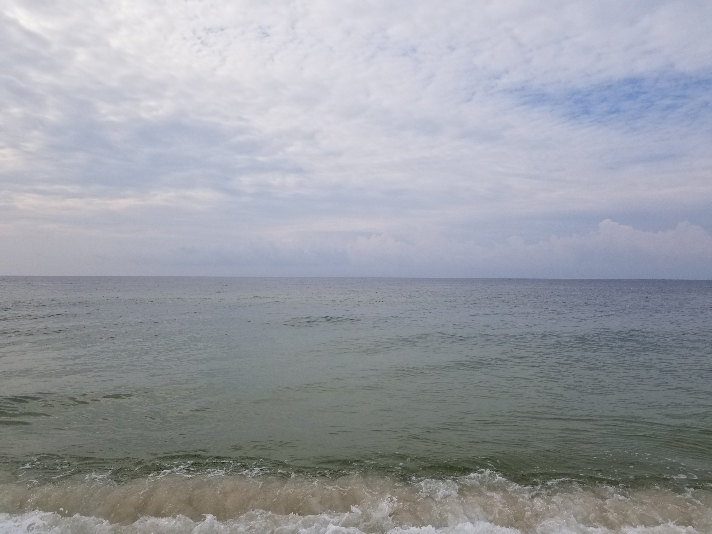 The June Grass Report | Crowdsourced June Grass and Beach Updates from ...