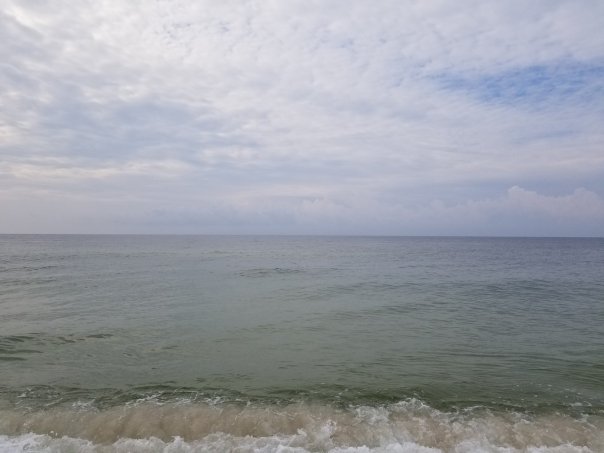 The June Grass Report | Crowdsourced June Grass and Beach Updates from ...