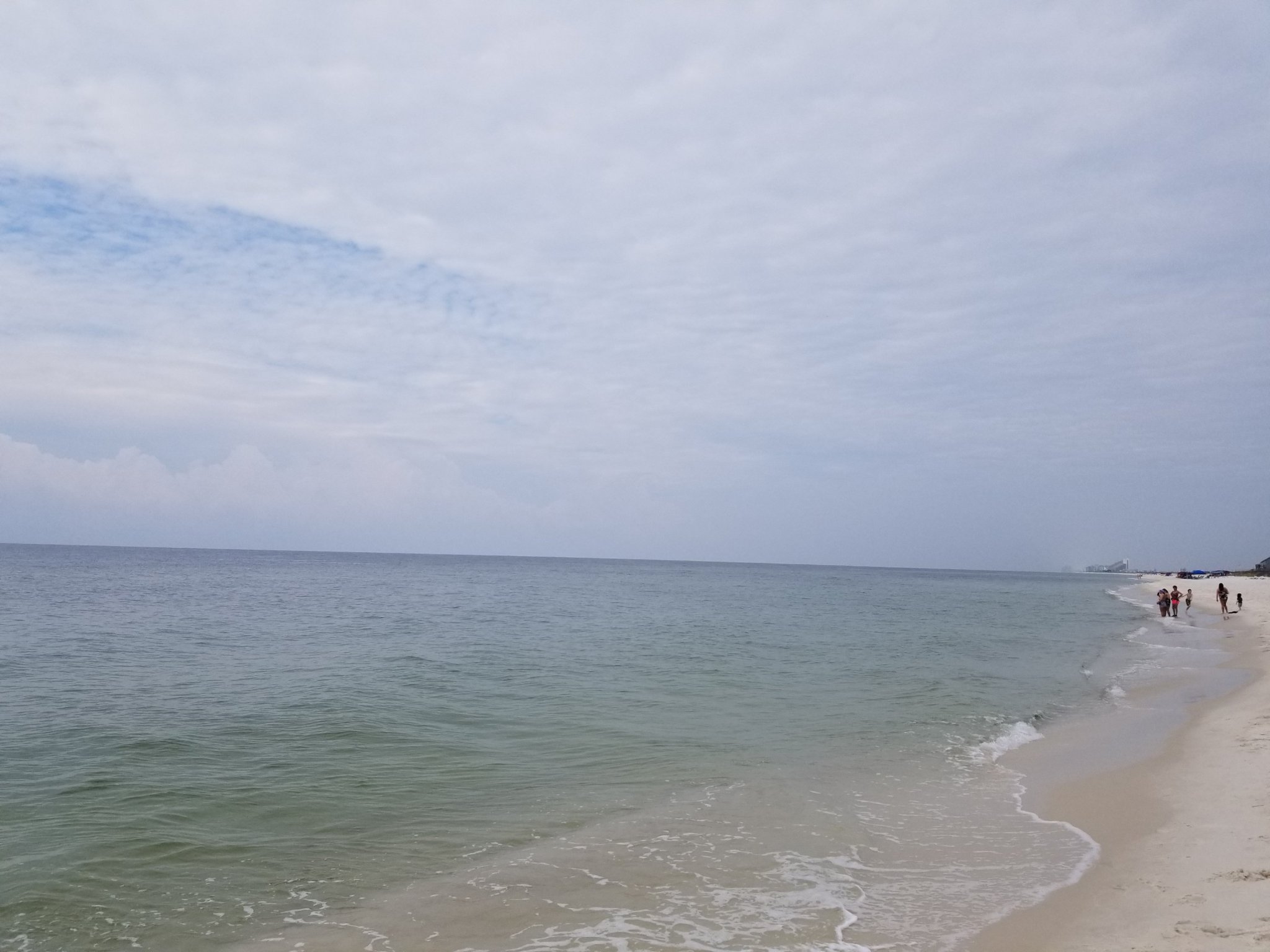 The June Grass Report | Crowdsourced June Grass and Beach Updates from ...
