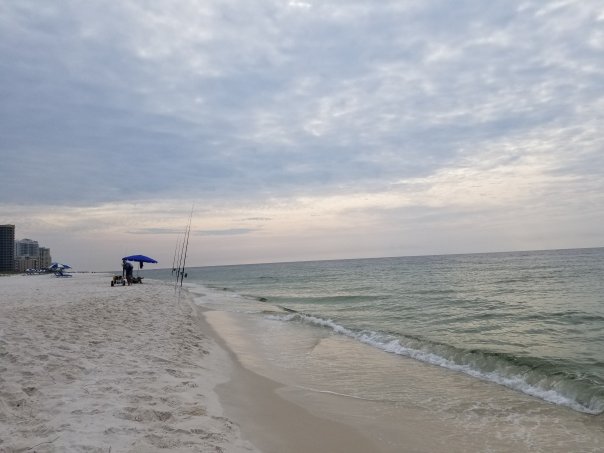 The June Grass Report | Crowdsourced June Grass and Beach Updates from ...