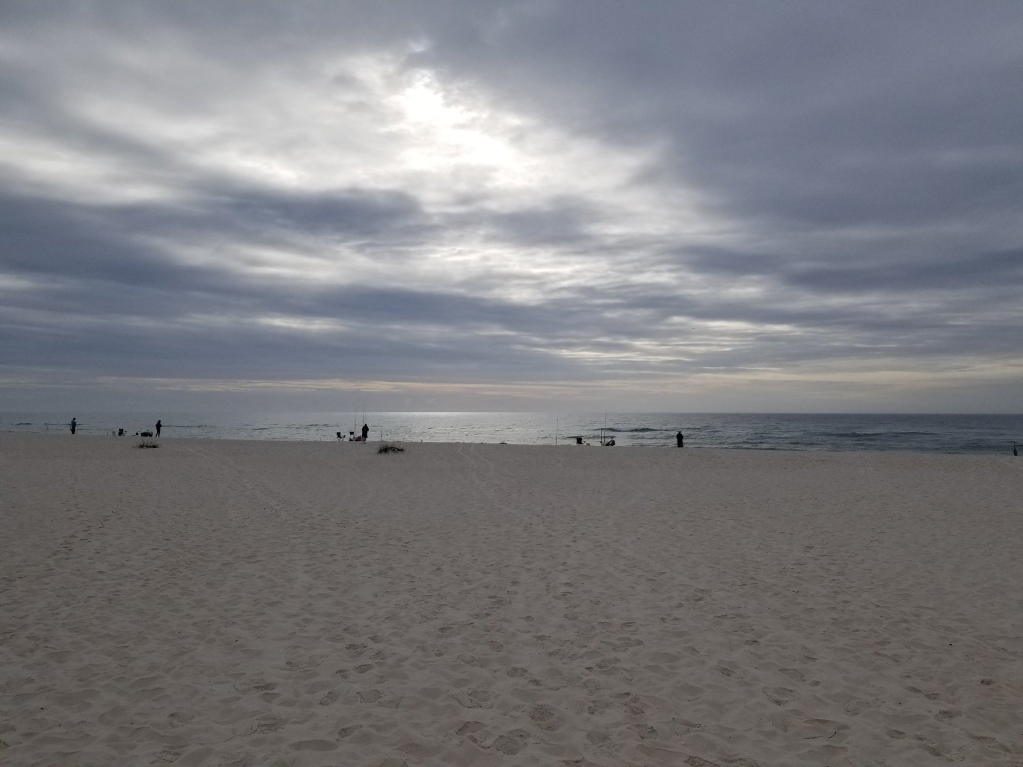 The June Grass Report | Crowdsourced June Grass and Beach Updates from ...
