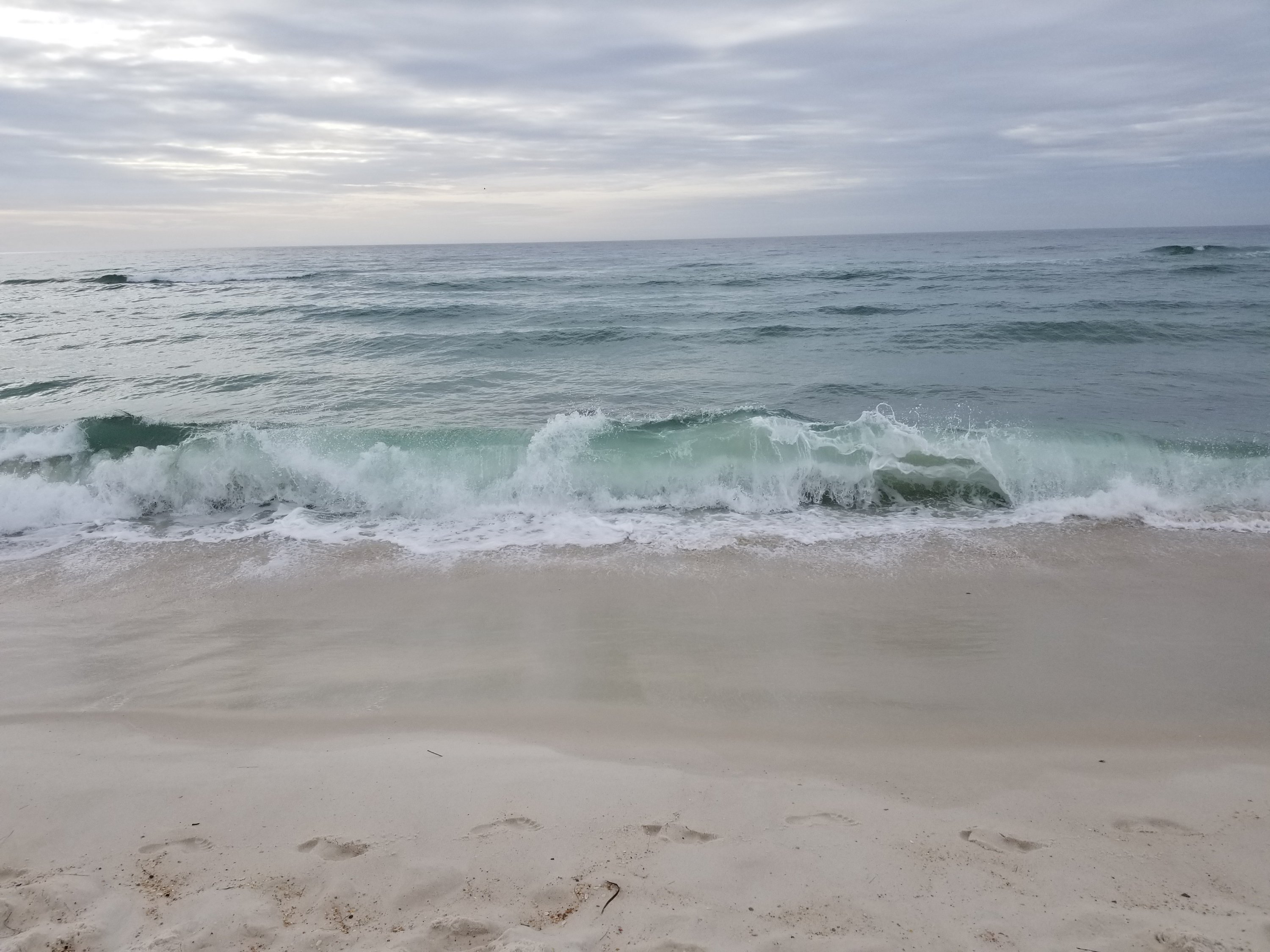 The June Grass Report | Crowdsourced June Grass and Beach Updates from ...