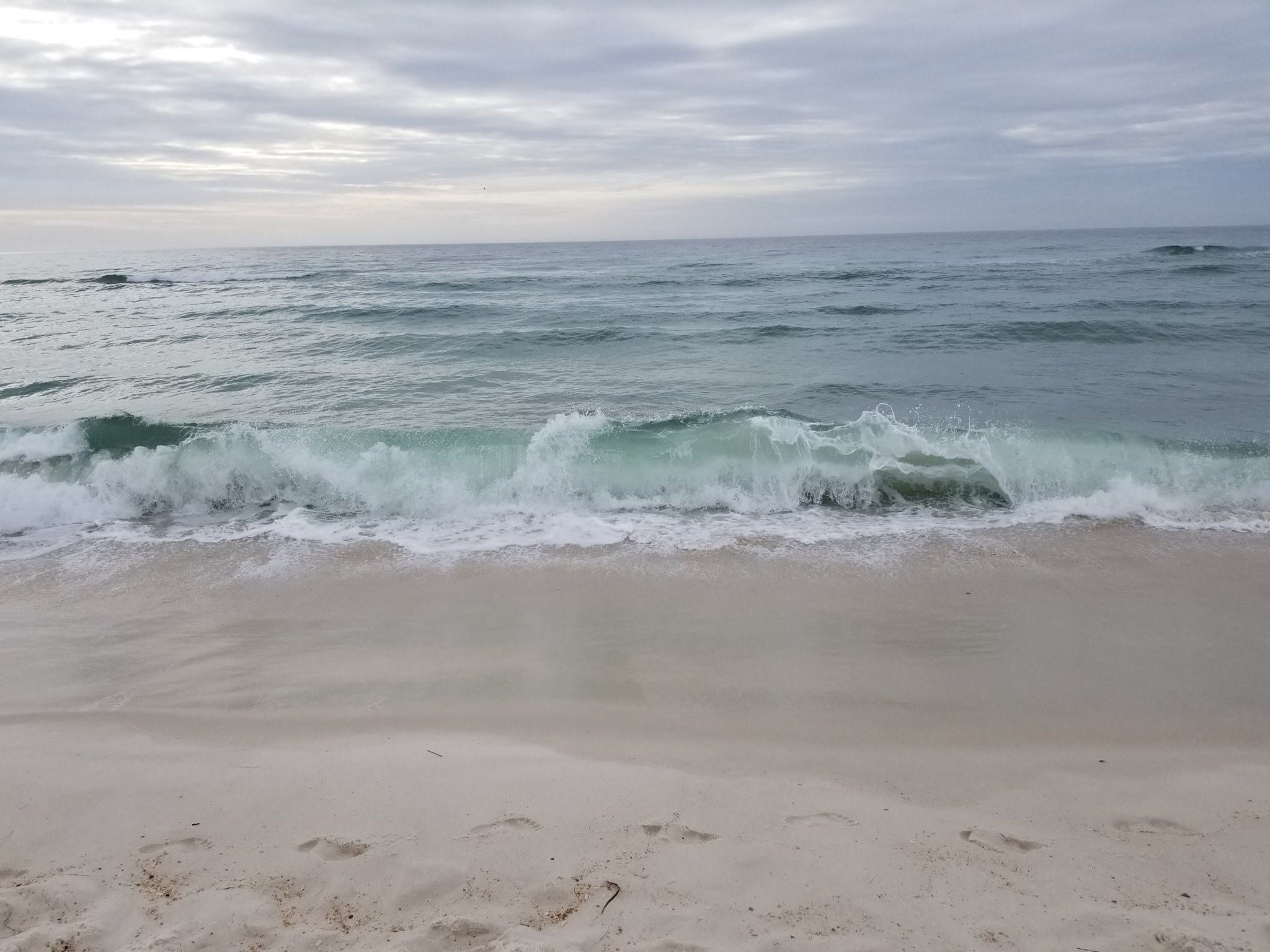 The June Grass Report | Crowdsourced June Grass and Beach Updates from ...