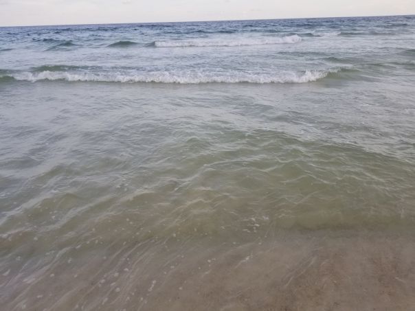 The June Grass Report | Crowdsourced June Grass and Beach Updates from ...