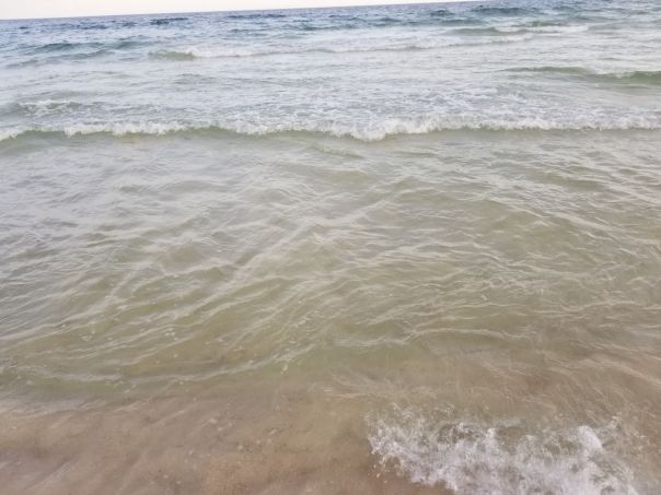 The June Grass Report | Crowdsourced June Grass and Beach Updates from ...