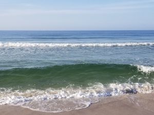 The June Grass Report | Crowdsourced June Grass and Beach Updates from ...