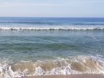 The June Grass Report | Crowdsourced June Grass and Beach Updates from ...